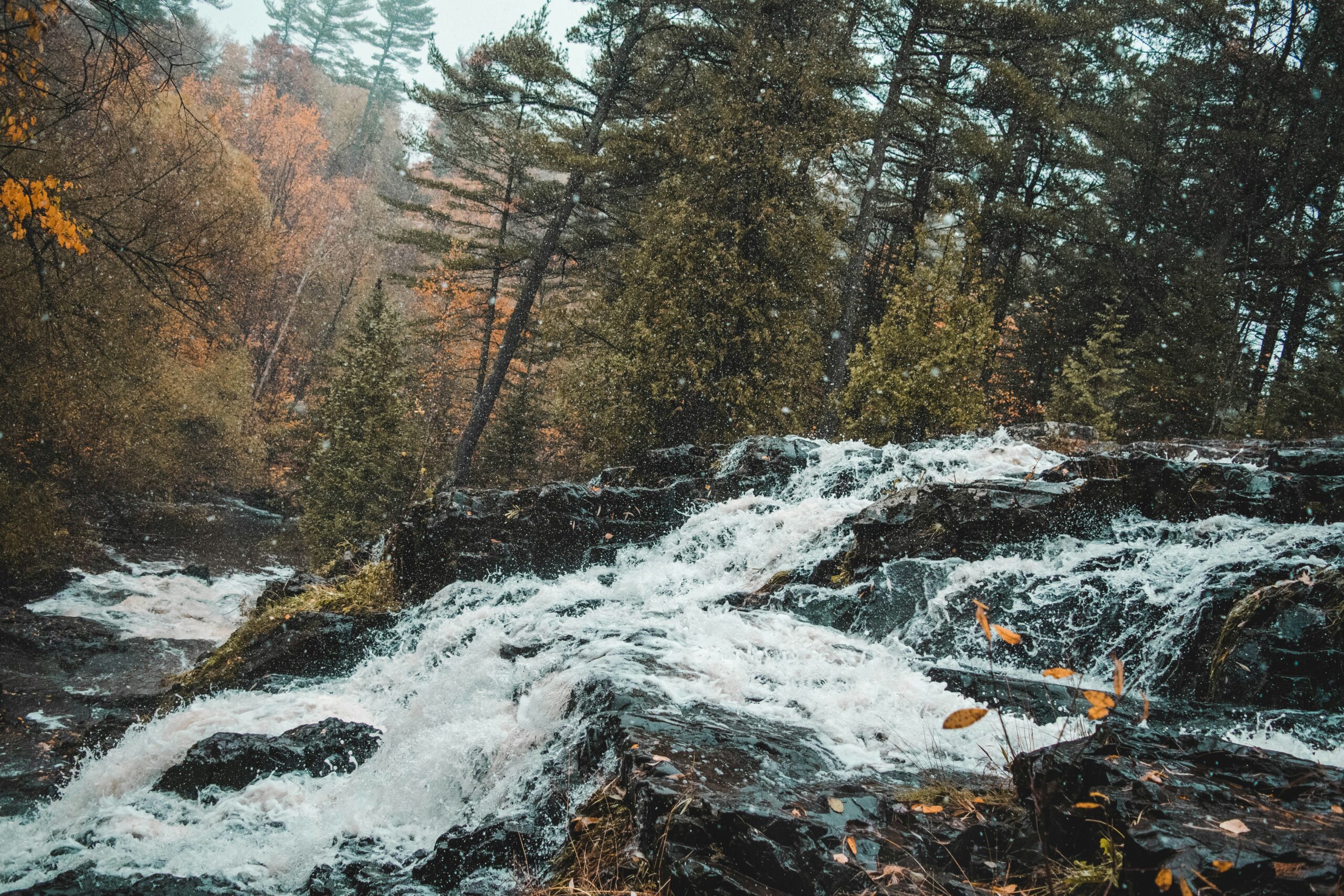 The Best Places to See Fall Colors Near Duluth: 2024 Edition - The ...